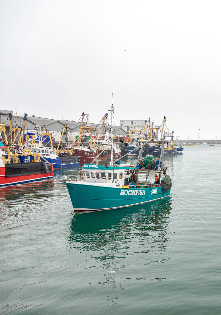 Introducing the Skipper's Log | Rockfish Blog