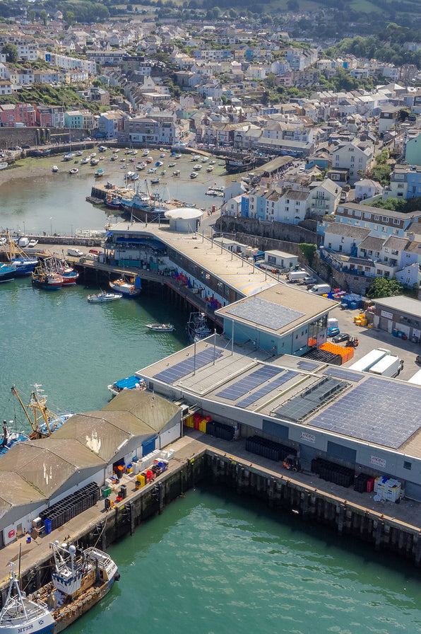 Brixham seafood restaurant - Eat sustainable seafood in Devon – Rockfish