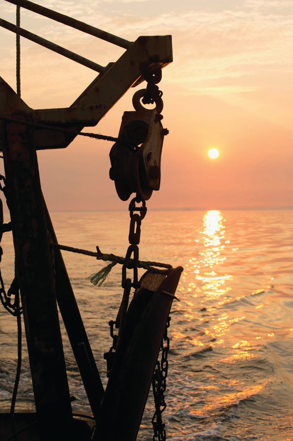 Rockfish Online Seafood Market - Buy sustainable fish & seafood