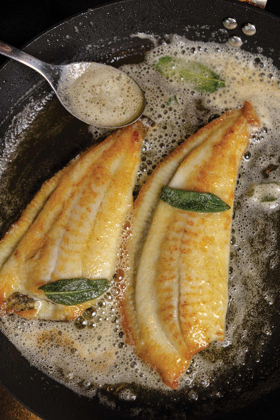 Fresh Brill Fillet - Fresh sustainable fish delivered next day – Rockfish