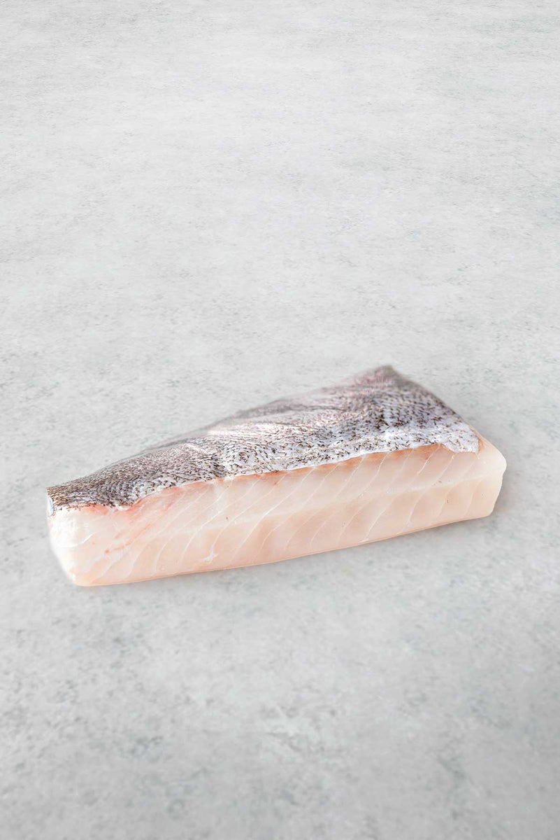 The best fish to feed a hungry family! – Rockfish