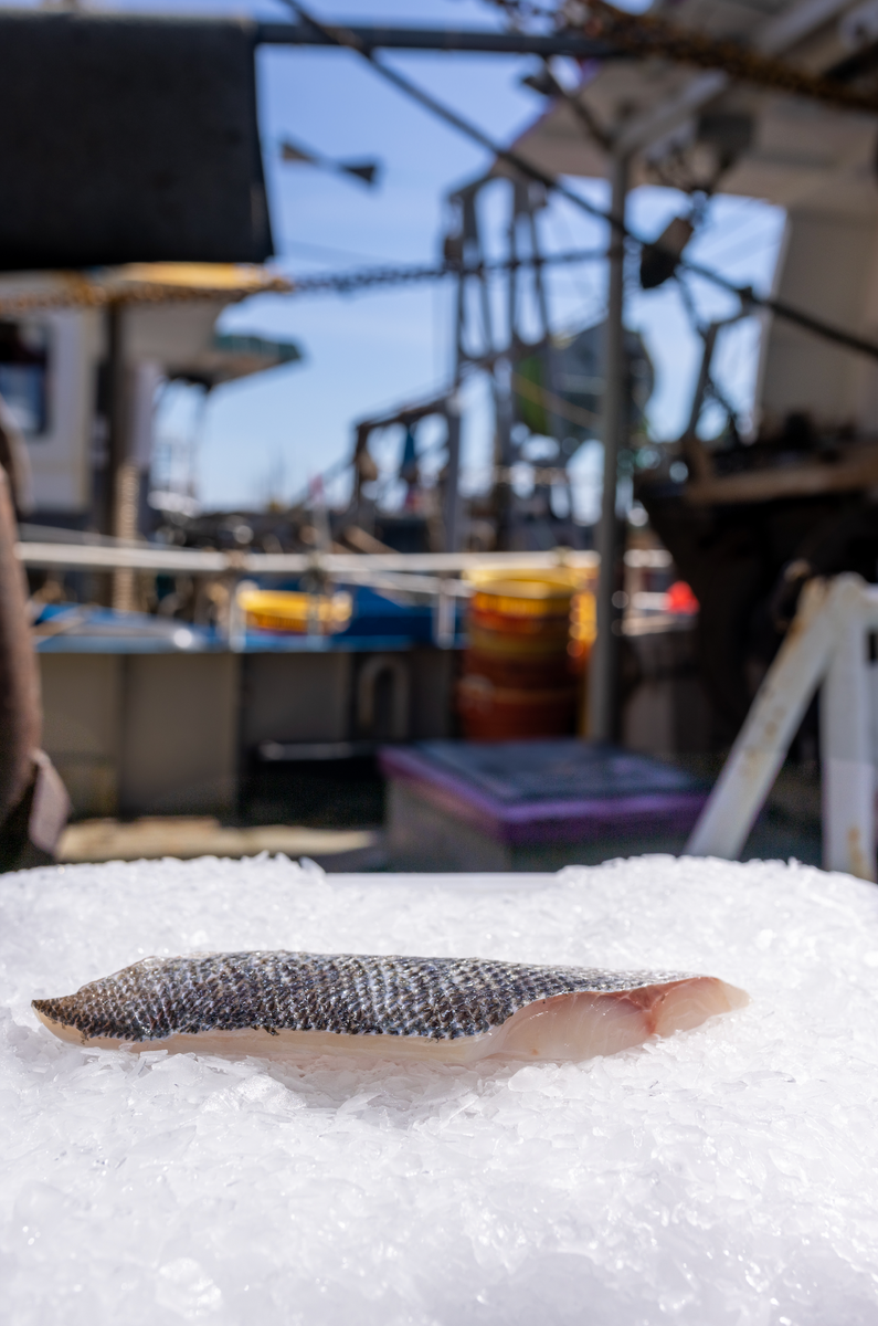 How to get amazing quality fish in the eye of a storm – Rockfish