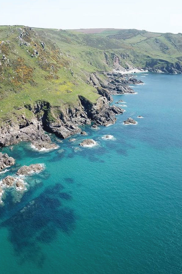 Rockfish Seafood Restaurants in Devon & Dorset