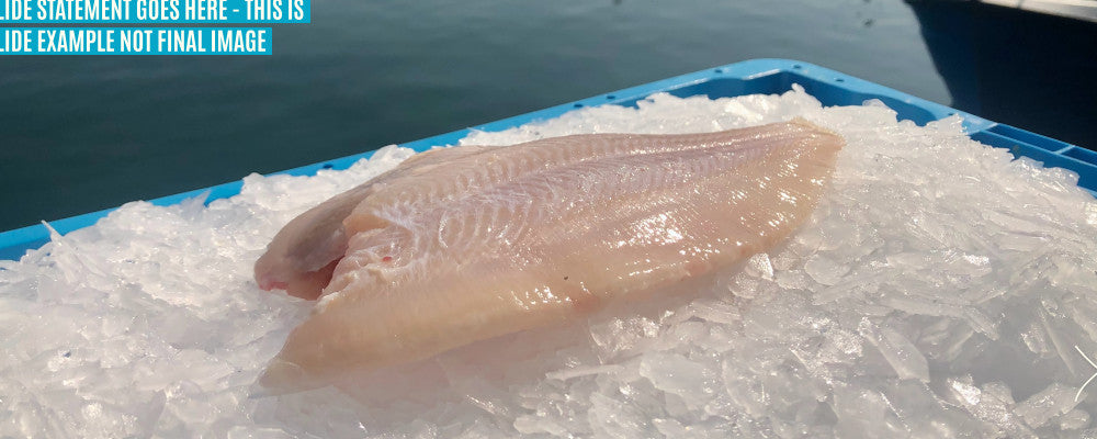 Frozen Fish - Blast frozen fish, the day it's landed - frozen fresh ...