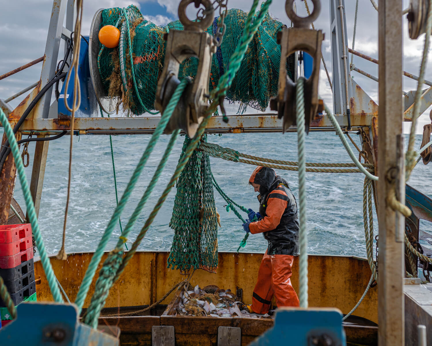 Sustainability at Rockfish