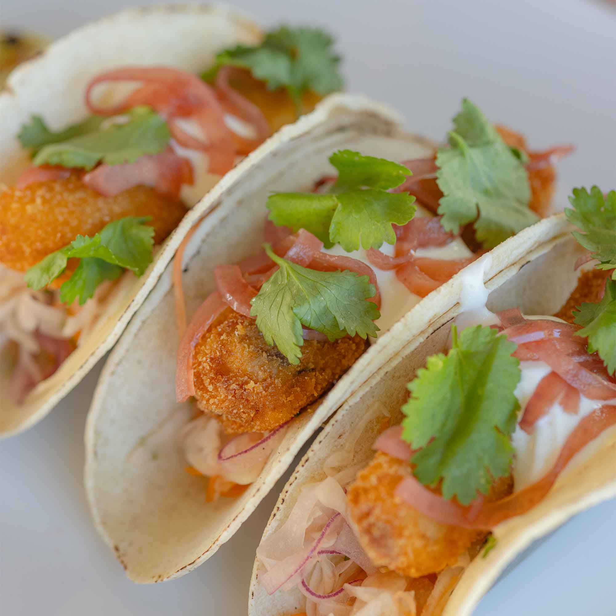 Poole seafood restaurant - Eat sustainable seafood in Dorset – Rockfish