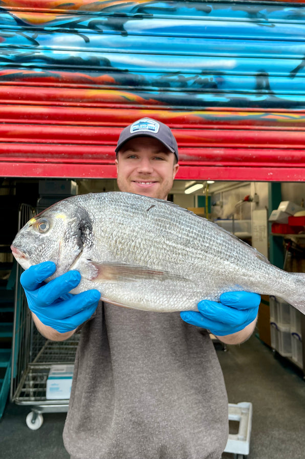 Online Seafood Market | Fresh Fish Delivered Next Day – Rockfish