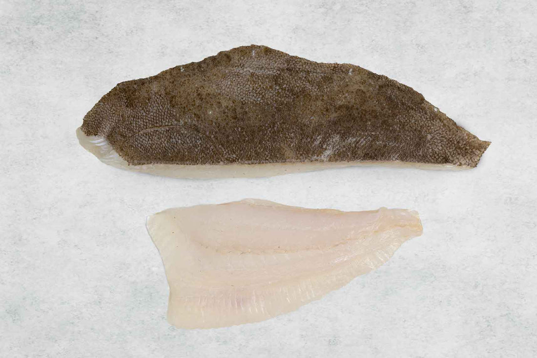 Fresh Brill Fillet - Fresh sustainable fish delivered next day – Rockfish