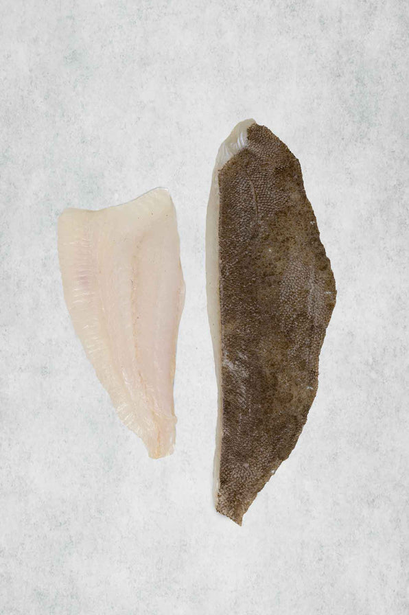 Online Seafood Market | Fresh Fish Delivered Next Day – Rockfish