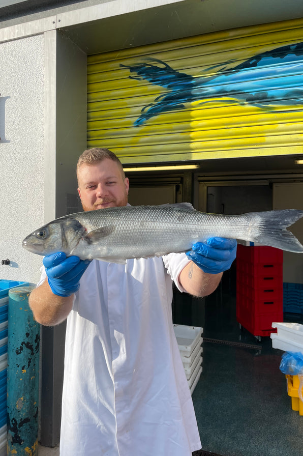 Online Seafood Market | Fresh Fish Delivered Next Day – Rockfish