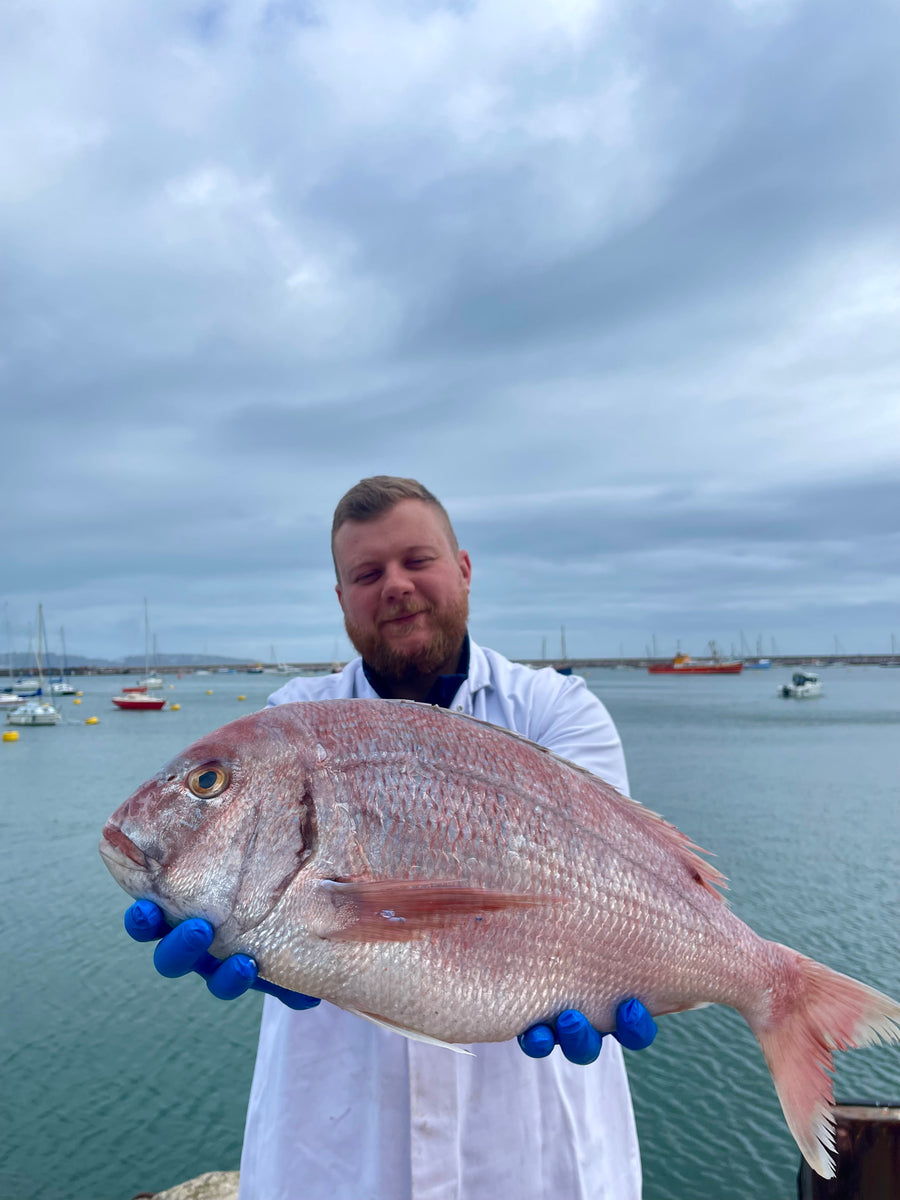 Wild Gilt Head Sea Bream Fillets - Fresh sustainable fish delivered ...