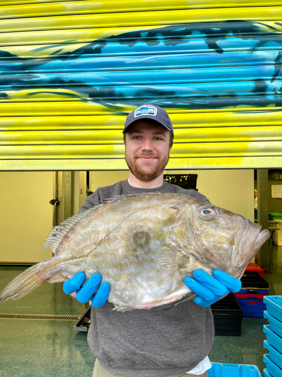 Mitch's Pick - John Dory 1.4kg – Rockfish