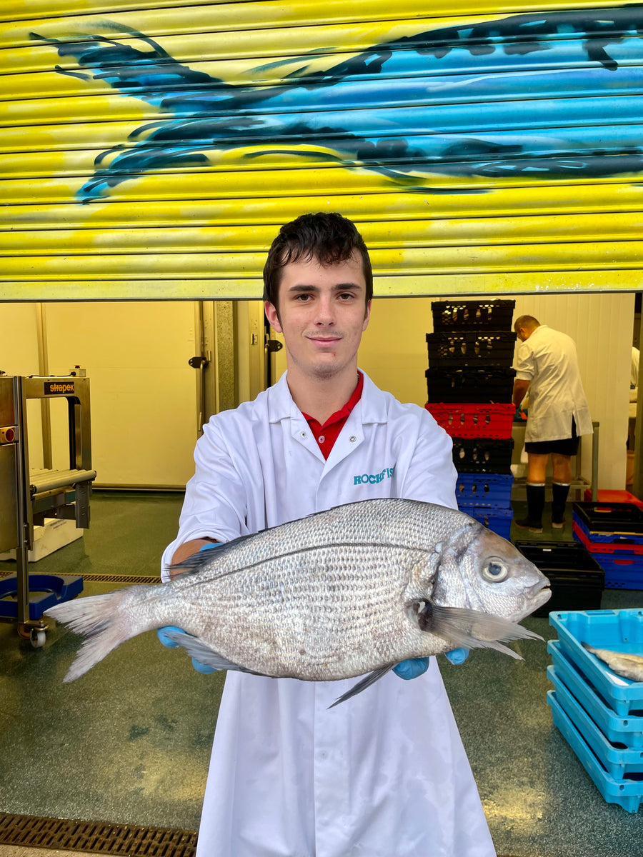 Wild Gilt Head Sea Bream Fillets - Fresh sustainable fish delivered ...