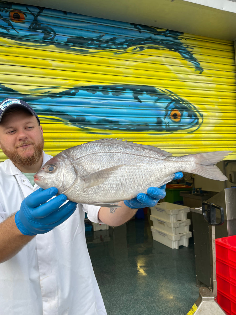 Wild Gilt Head Sea Bream Fillets - Fresh sustainable fish delivered ...