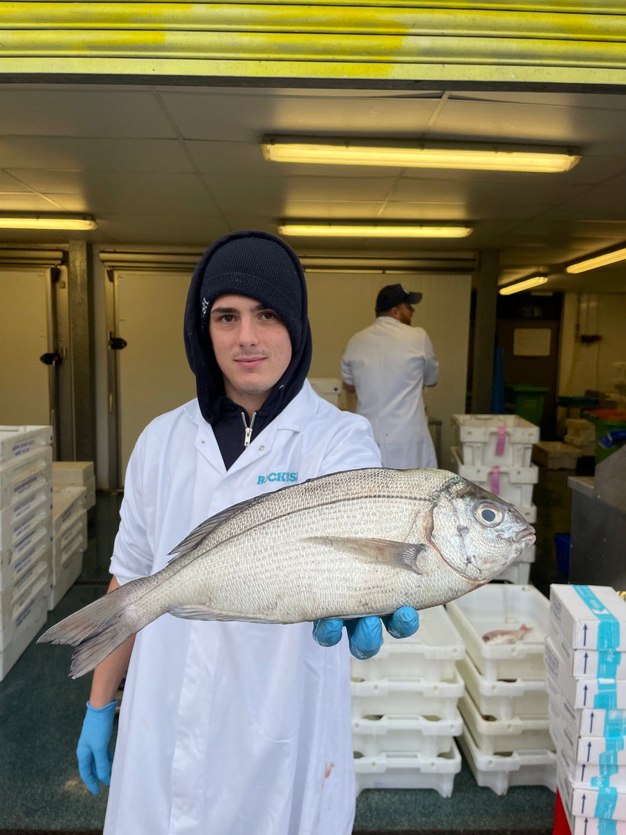 Wild Gilt Head Sea Bream Fillets - Fresh sustainable fish delivered ...