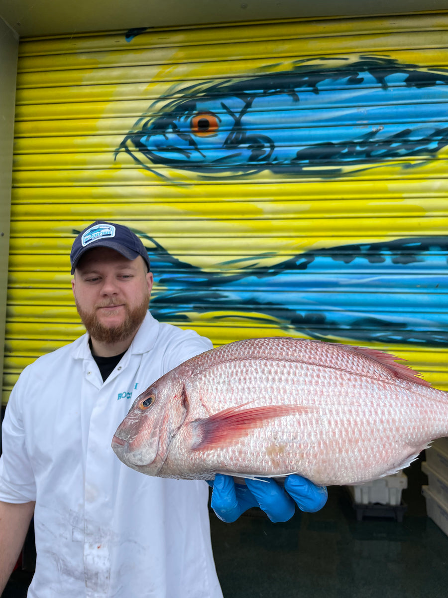 Wild Gilt Head Sea Bream Fillets - Fresh sustainable fish delivered ...