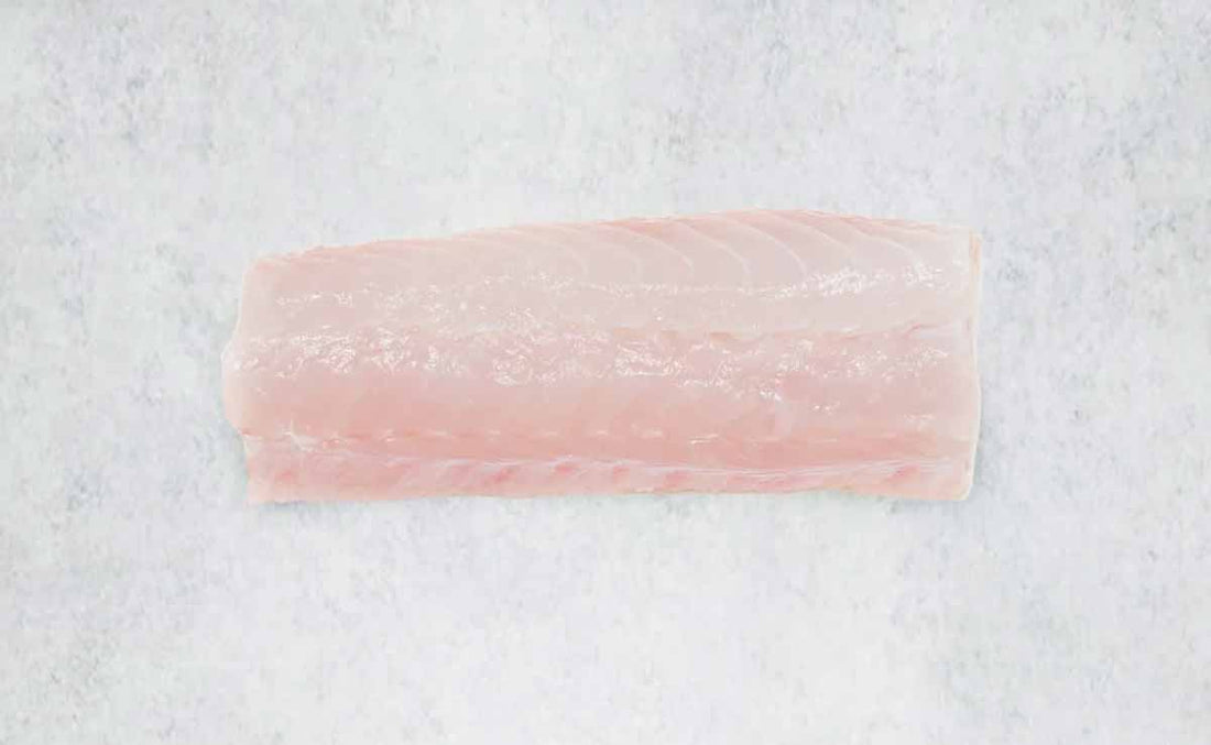 Ling Fillet - fresh sustainable fish delivered next day – Rockfish