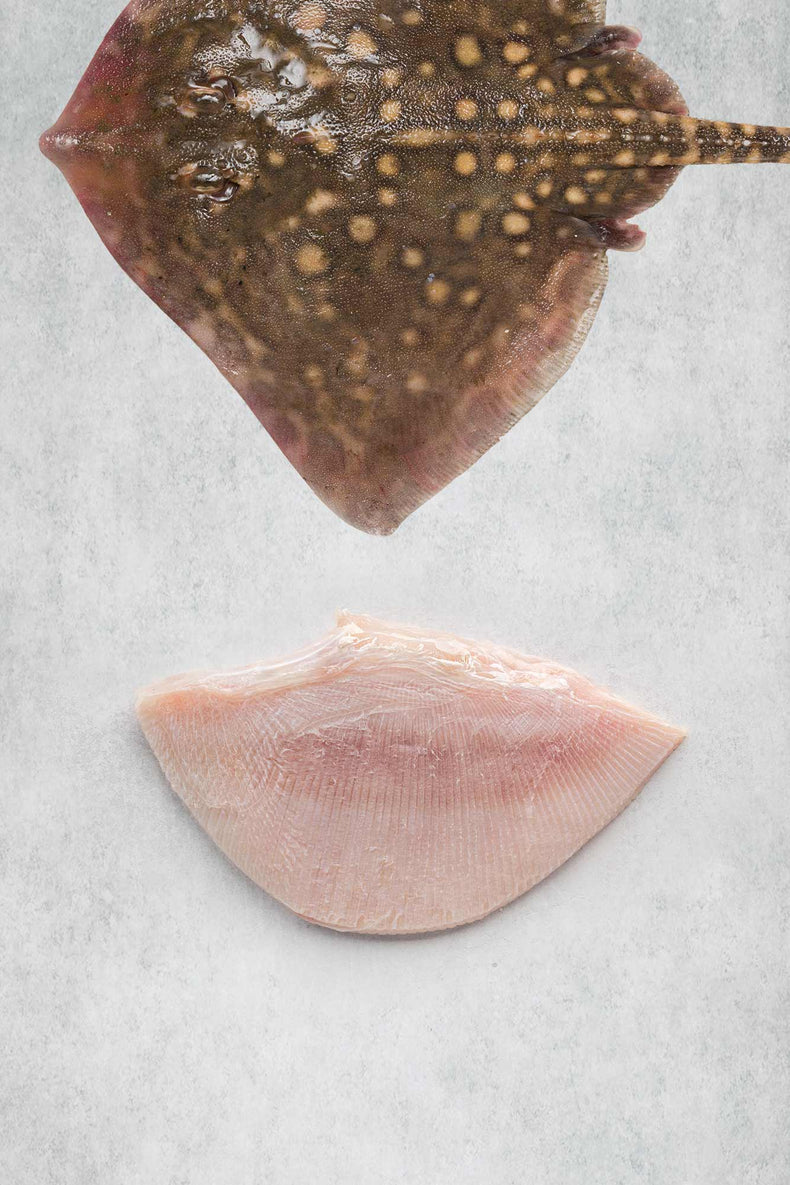 The shocking truth about skate wings – Rockfish