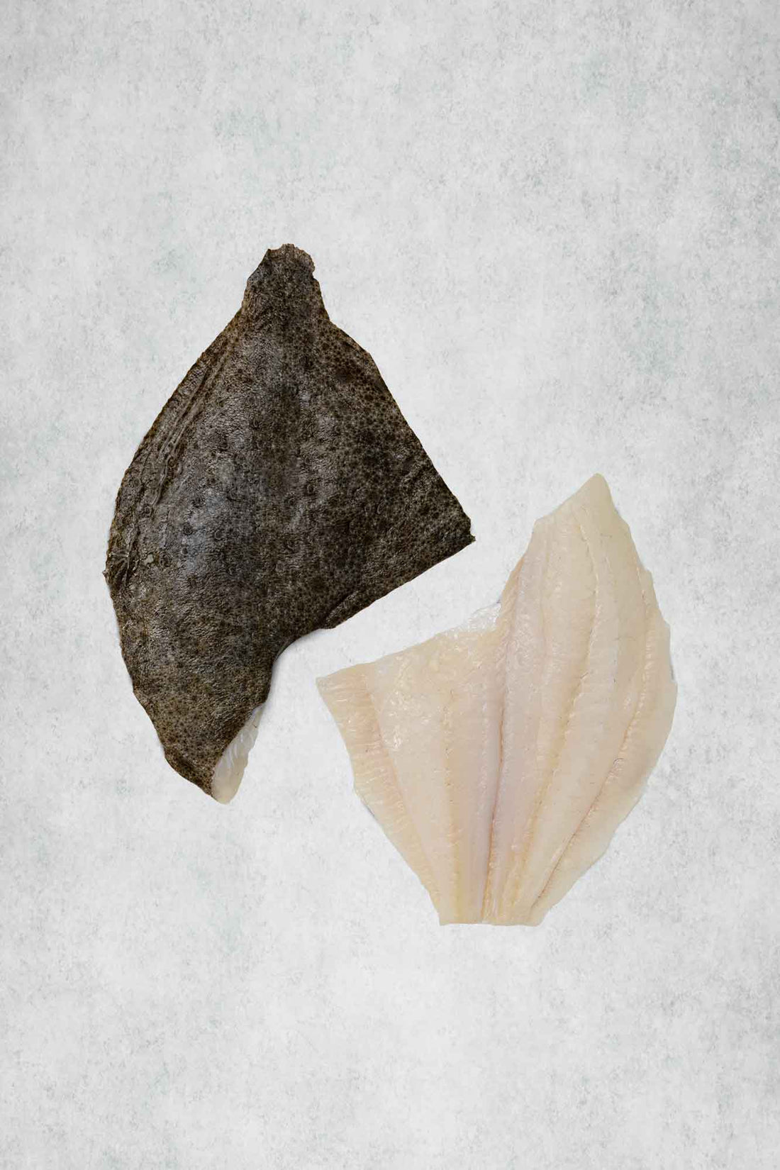 Turbot Fillets – Rockfish