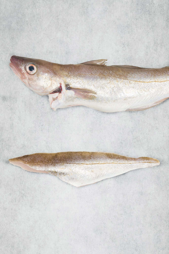 Whiting Fillet - Frozen – Rockfish