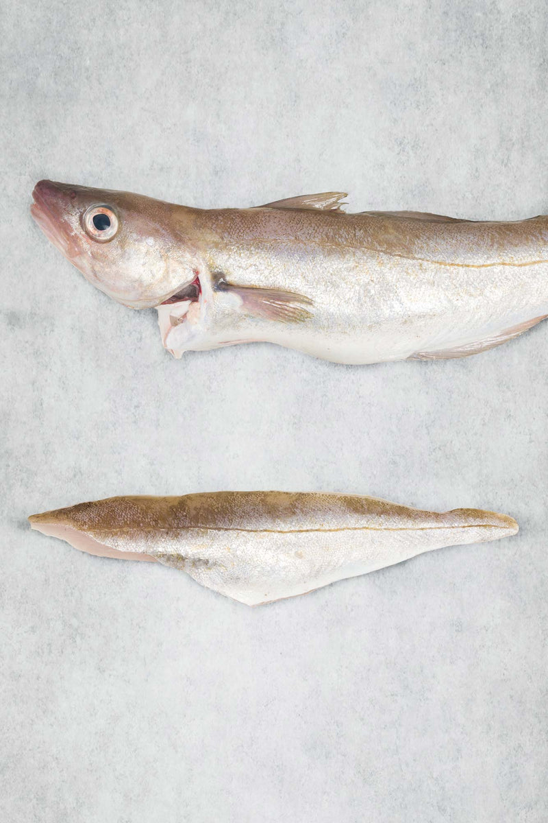 Whiting Fillet - Frozen – Rockfish