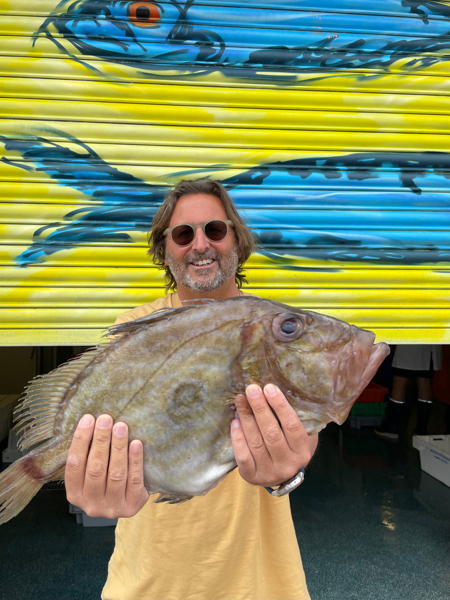 Mitch's Pick - John Dory 1.9 kg – Rockfish