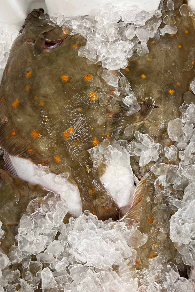 Plaice Fillet - Frozen – Rockfish