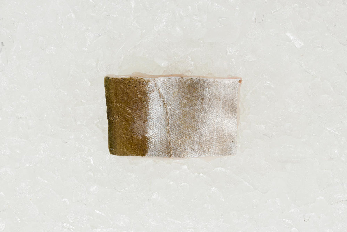 Pollack Fillet - Frozen – Rockfish