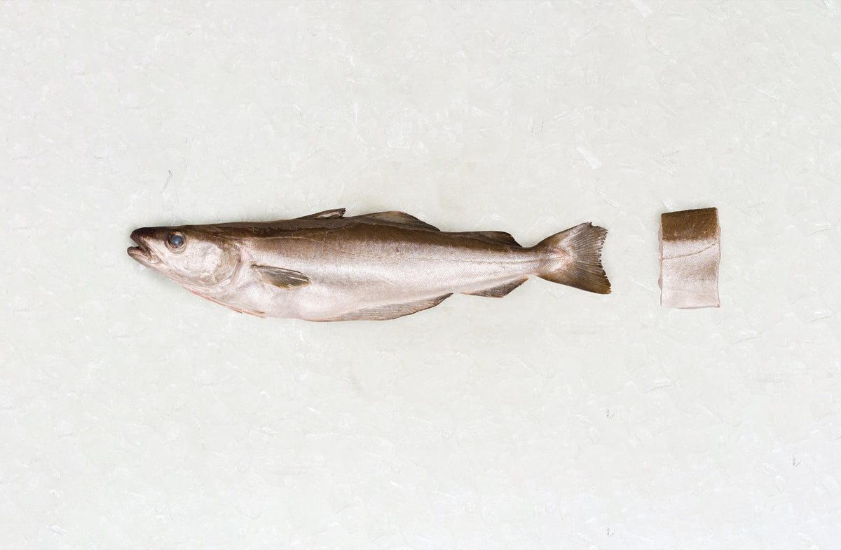 Pollack Fillet - Frozen – Rockfish