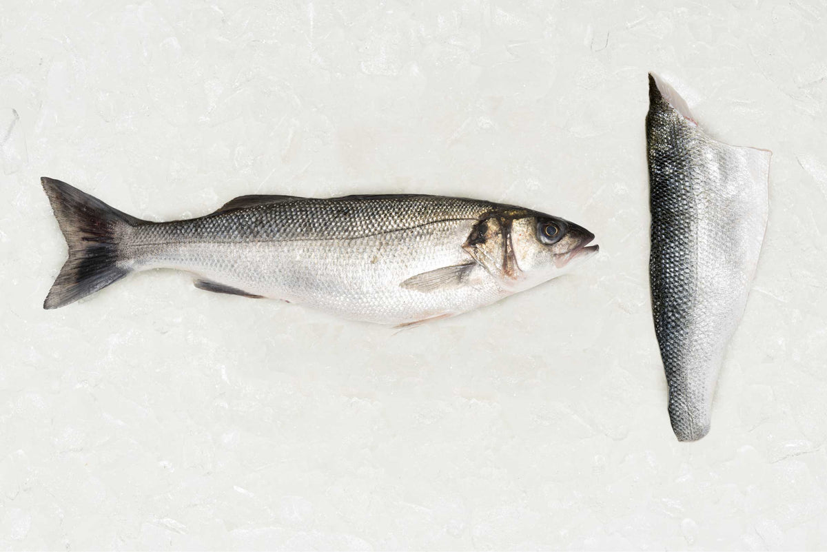 Sea Bass Fillet - Frozen – Rockfish