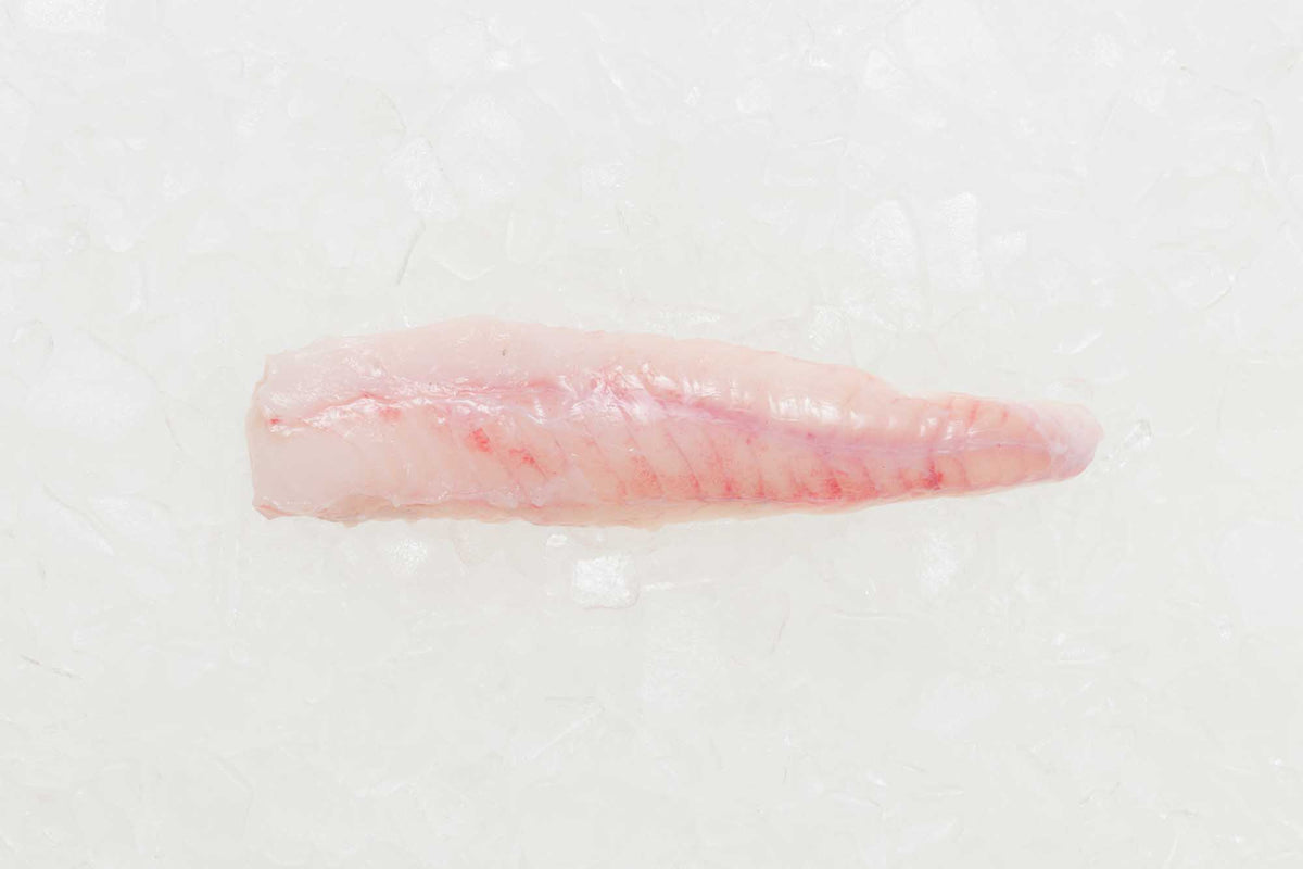 Monkfish Fillet - Frozen – Rockfish