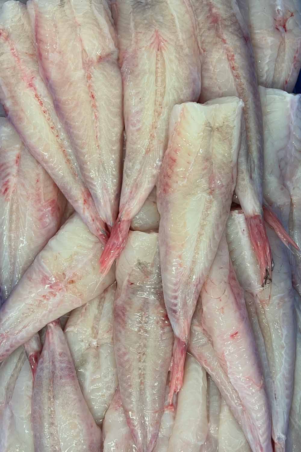 Monkfish Whole Tail - Frozen – Rockfish