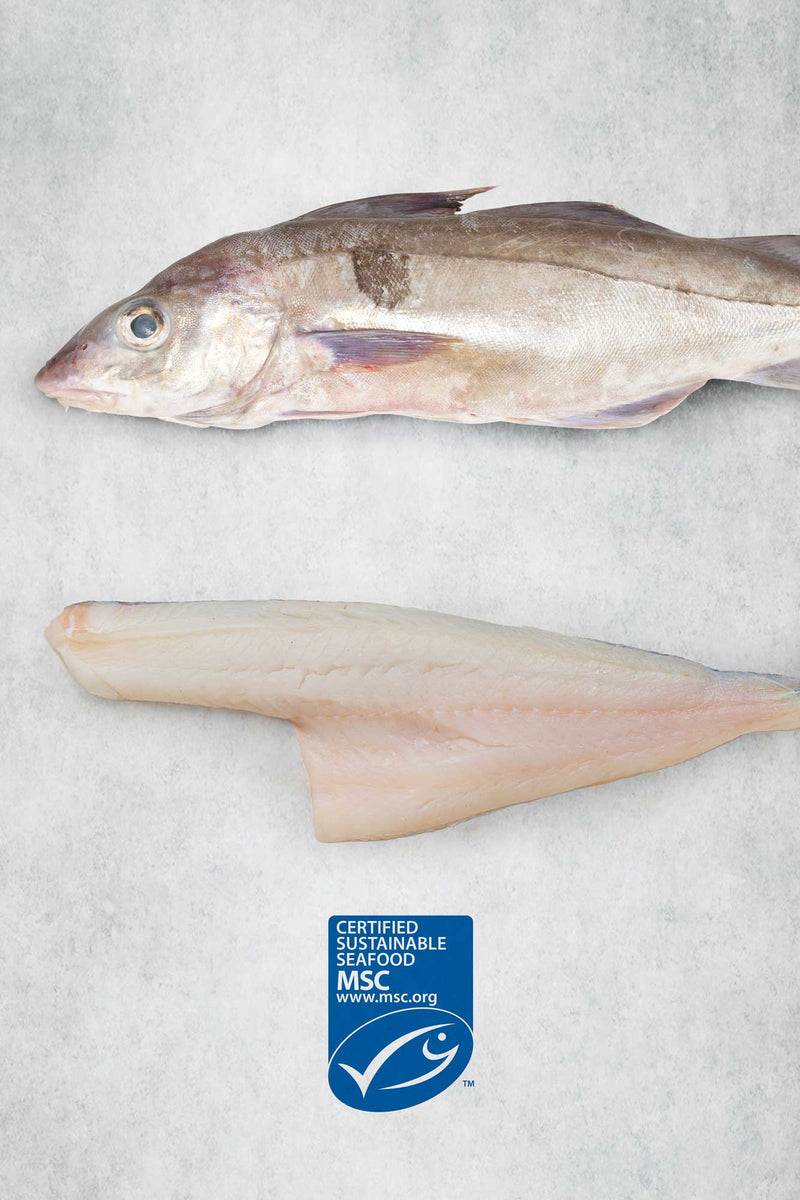 Haddock Fillet - MSC - Frozen – Rockfish