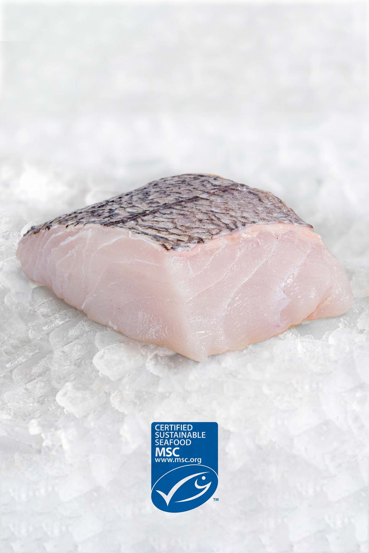 Hake Fillet - MSC - Frozen – Rockfish