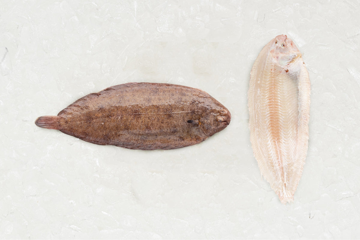 Prime Dover Sole - Frozen – Rockfish