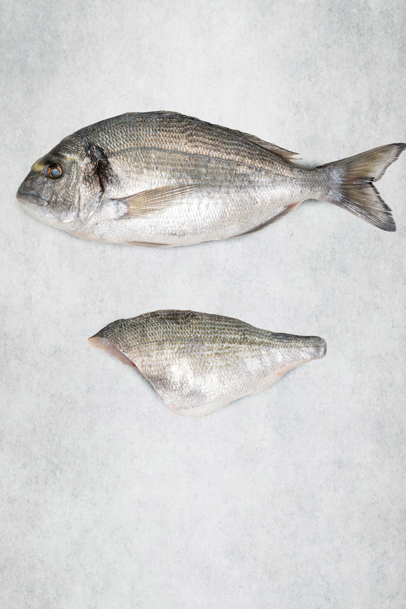 Gilt Sea Bream Fillet – Rockfish