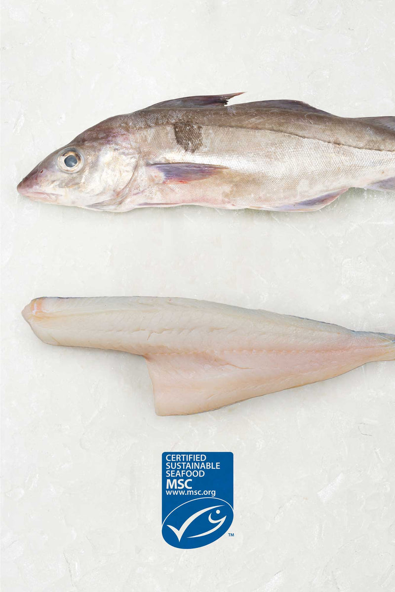 Haddock Fillet - MSC - Frozen – Rockfish