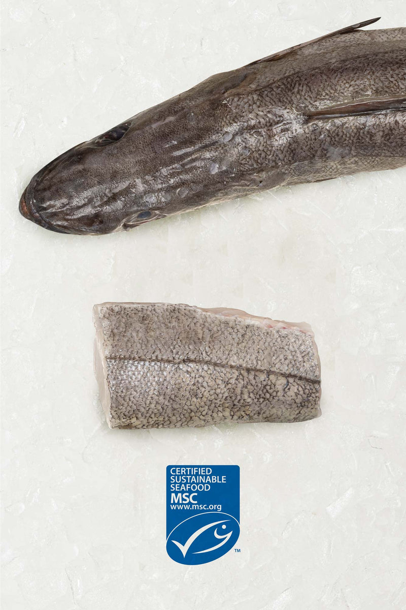 Hake Fillet - MSC - Frozen – Rockfish