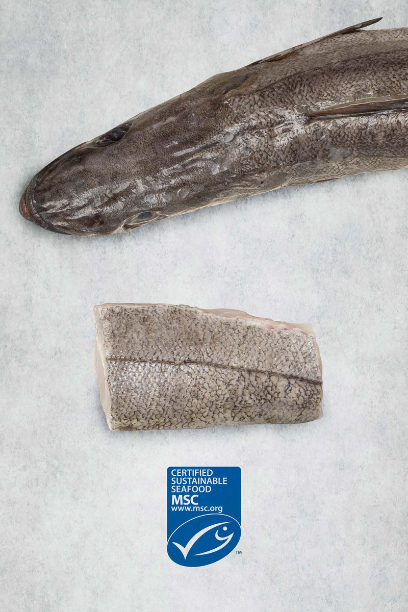 Fresh MSC Hake Fillet - Fresh sustainable Hake fillets delivered ...