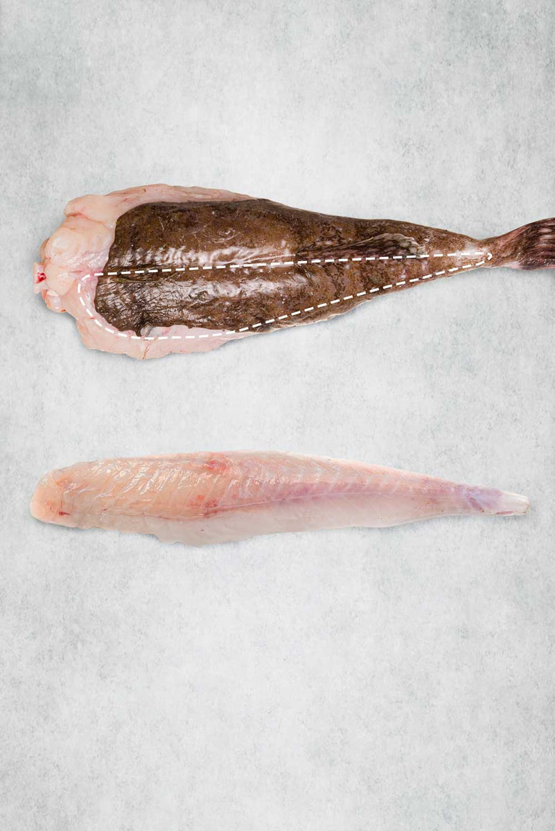 Monkfish Fillet – Rockfish