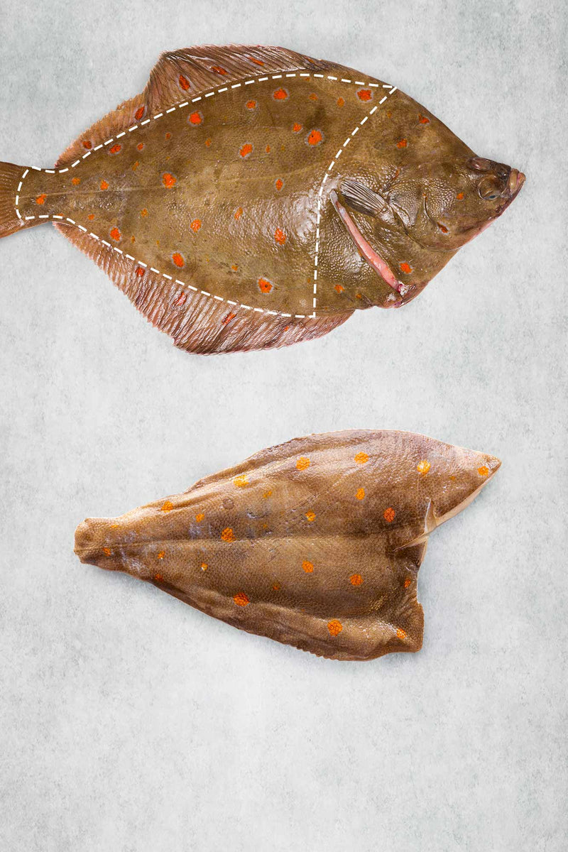 Whole Plaice – Rockfish