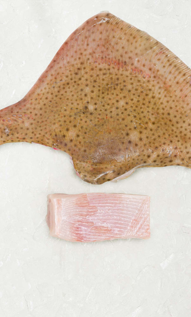 Ray T-Bone - Frozen – Rockfish