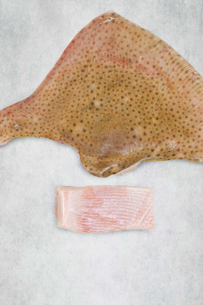 The shocking truth about skate wings – Rockfish