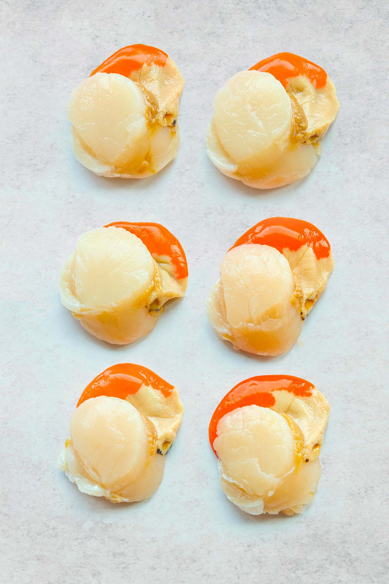 Day boat scallops - sustainable shellfish delivered next day – Rockfish