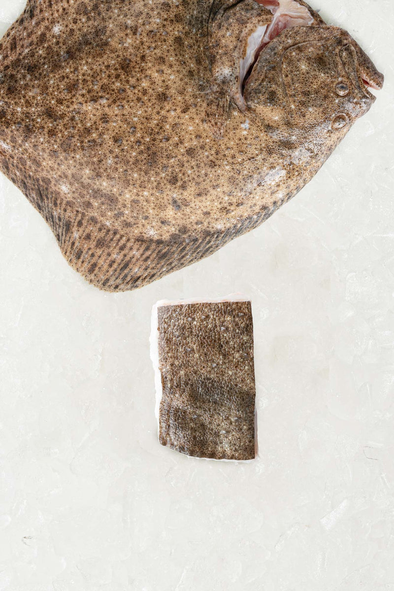 Turbot T-Bone - Frozen – Rockfish