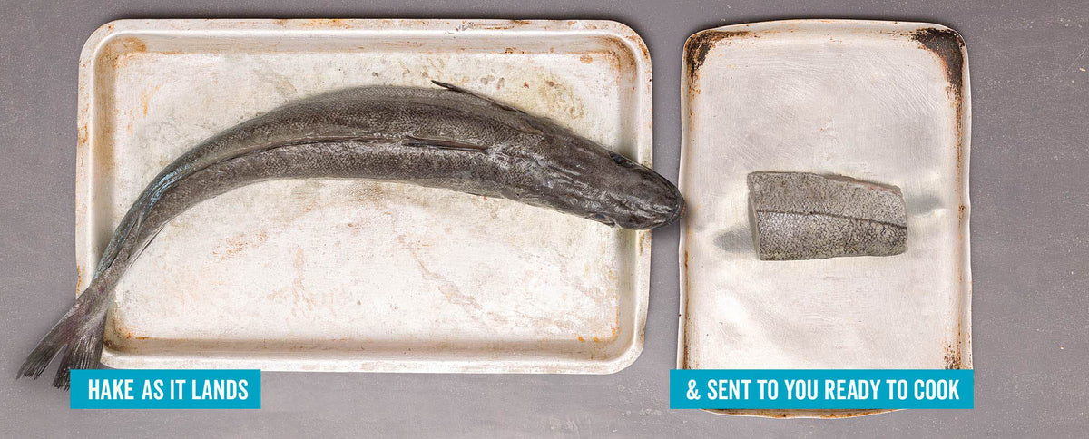 Fresh MSC Hake Fillet - Fresh sustainable Hake fillets delivered ...